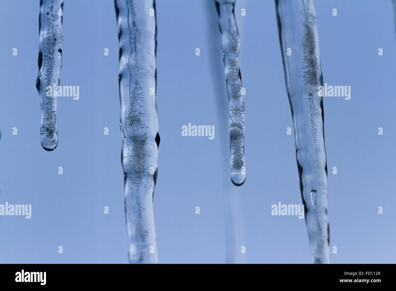 Icicles suspended over a light background with interesting shapes and ...