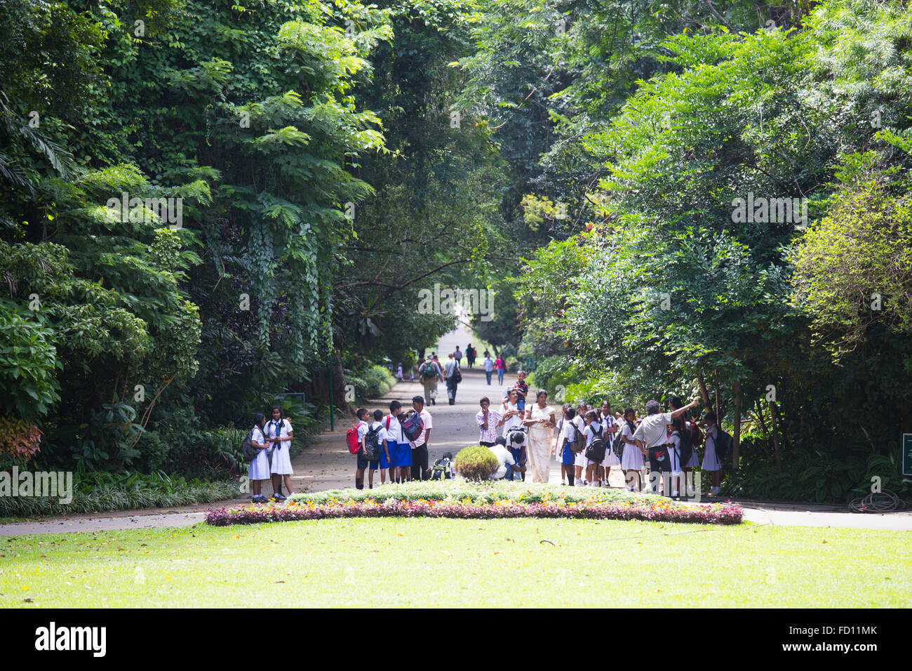 Royal Botanical Gardens, Peradeniya, Kandy, Sri Lanka Stock Photo - Alamy