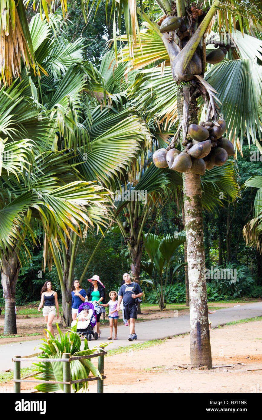 Royal Botanical Gardens, Peradeniya, Kandy, Sri Lanka Stock Photo - Alamy