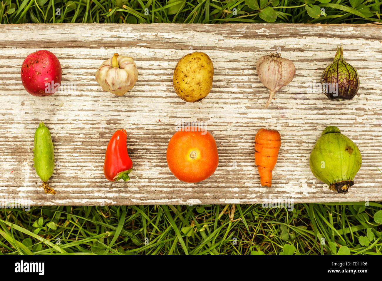 Fruit and vegetables in a row hi-res stock photography and images - Alamy