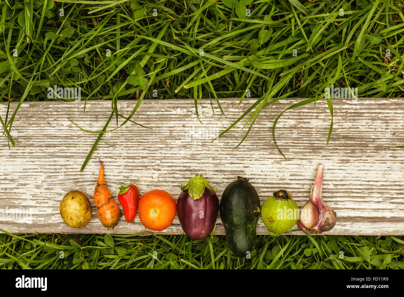 vegetables laid out in a row with an empty space for text on a gray ...