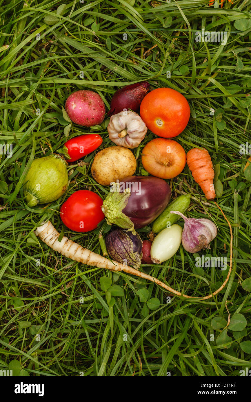 Little red potatoes hi-res stock photography and images - Alamy