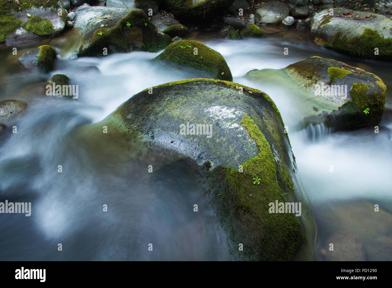 Costa rica river hi-res stock photography and images - Alamy