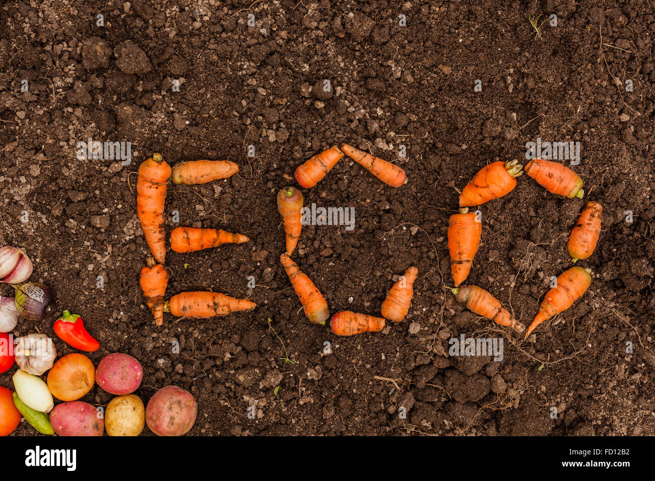 inscription ECO on the background of fresh earth and a group of young ...