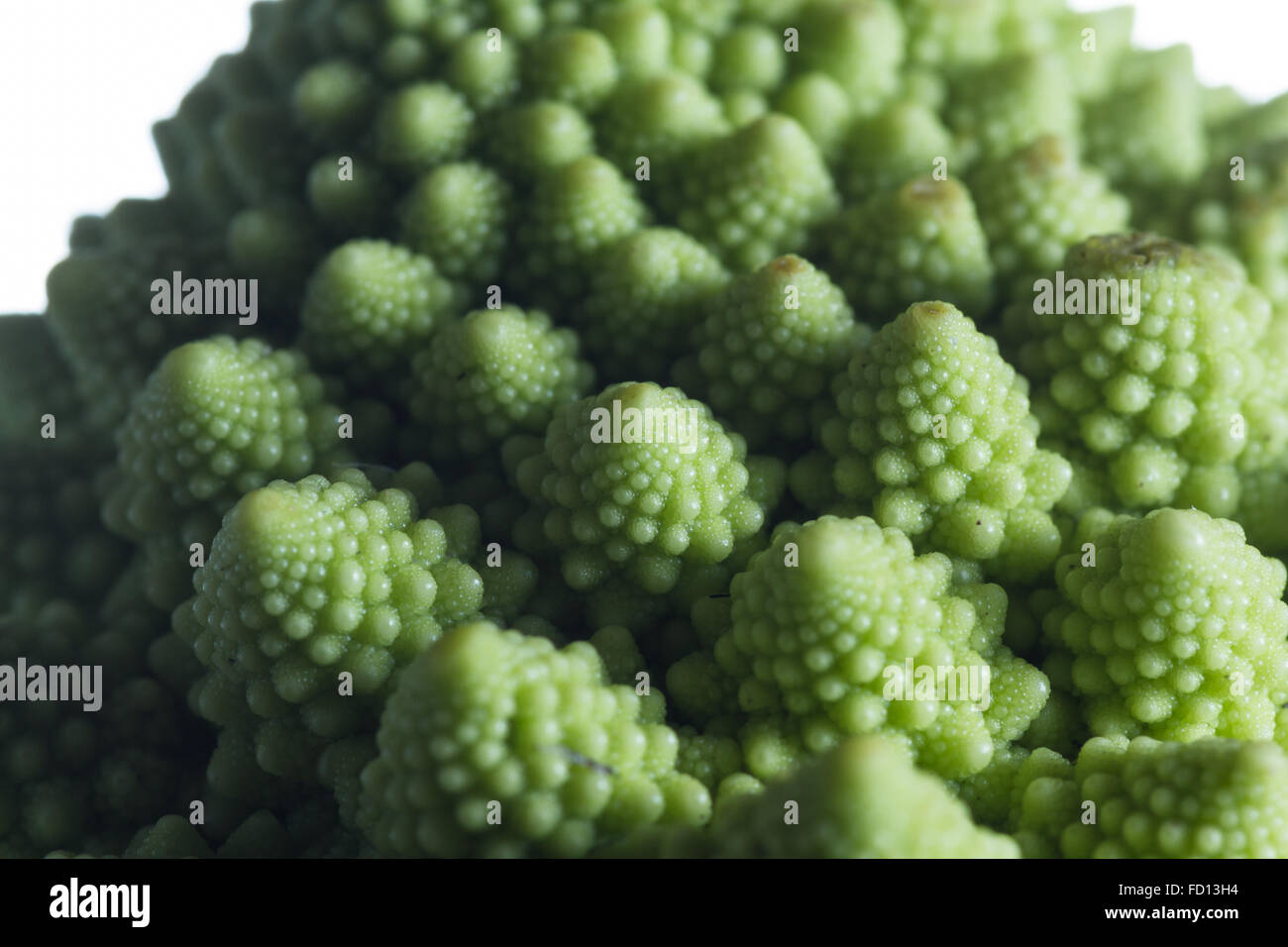 close up with attention to the detail in the texture of a romanesco ...