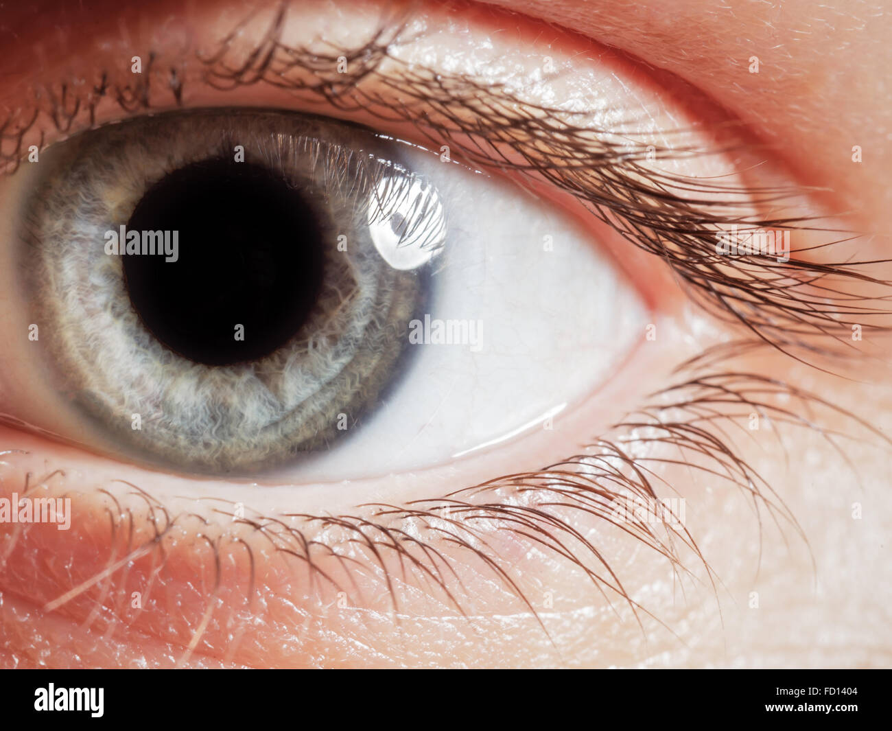Woman with long eyelashes hi-res stock photography and images - Alamy