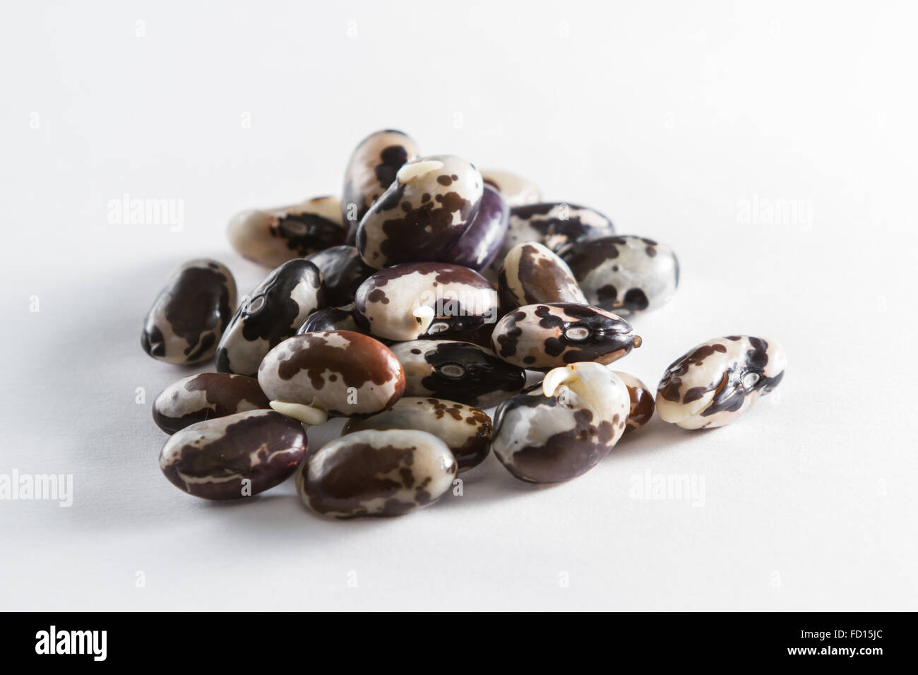 close up of a group of raw sprouted orca beans Stock Photo - Alamy
