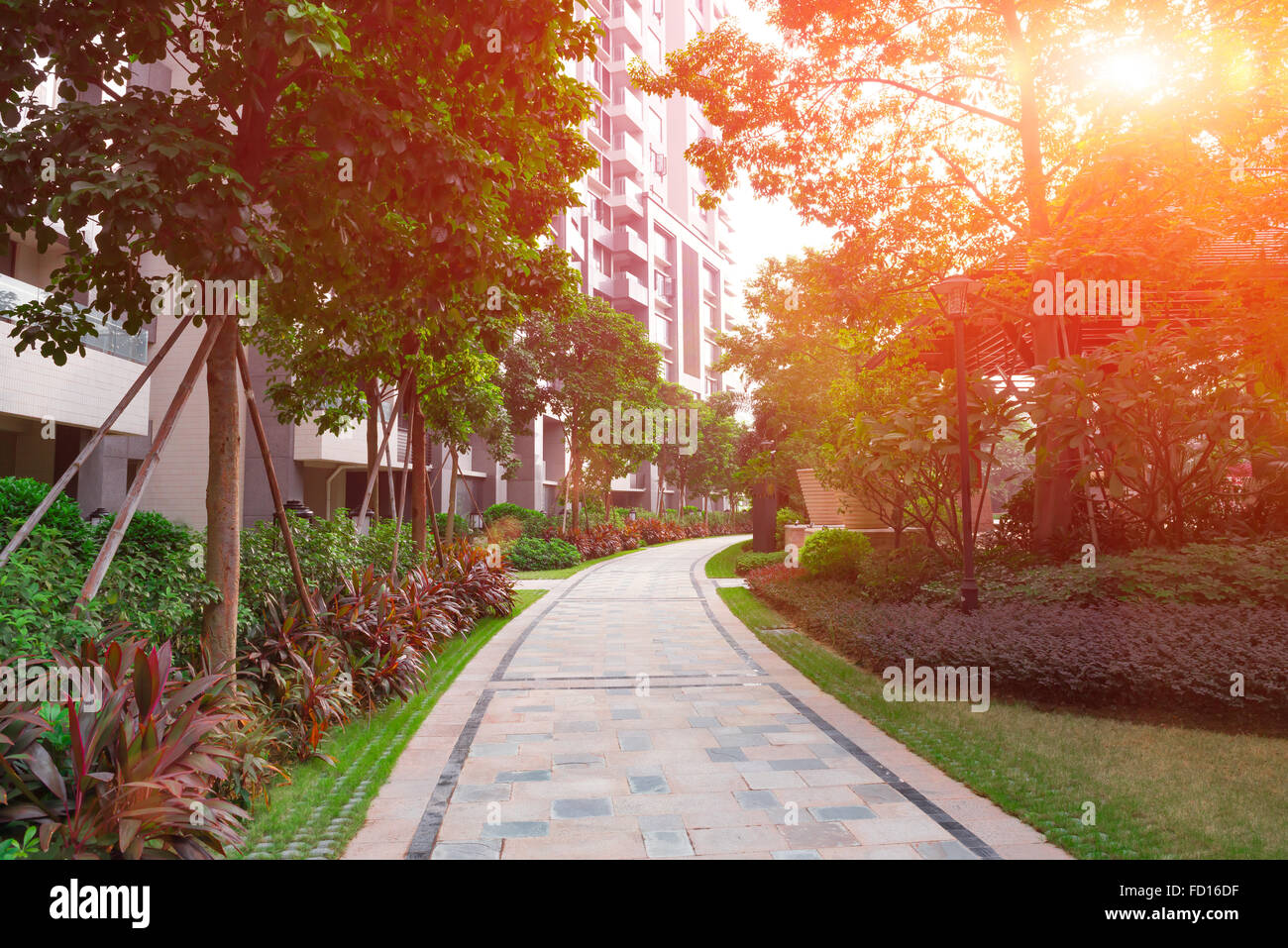 pathway in outdoor of a residential building with the Sun rising in the ...