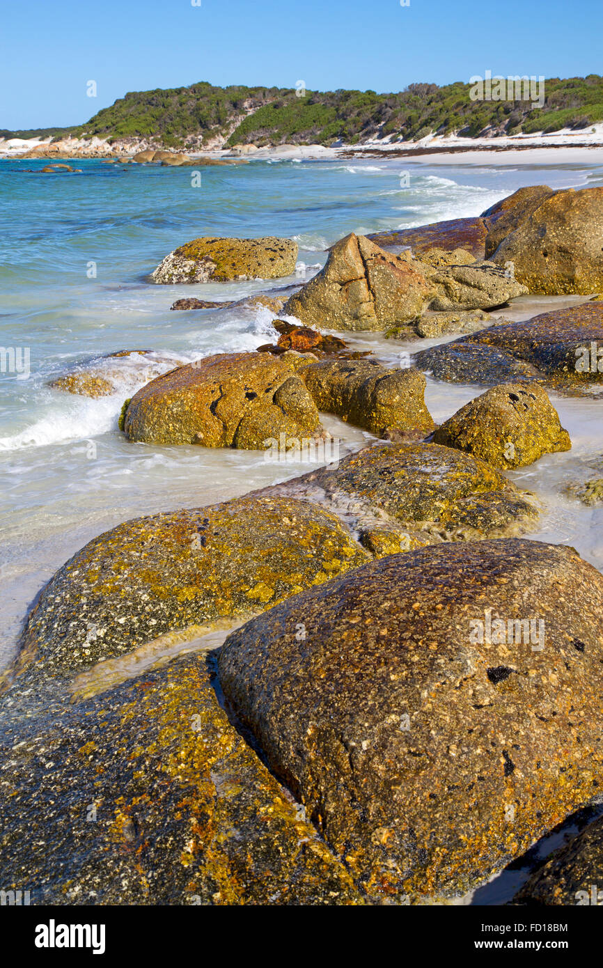 Coastline in Mt William National Park Stock Photo - Alamy