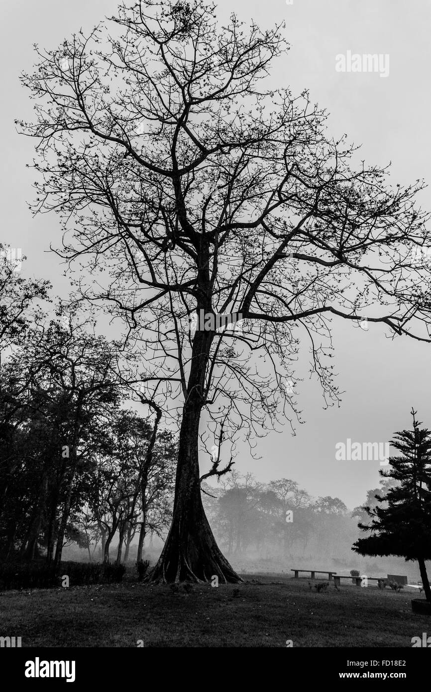 Dried up Black and White Stock Photos & Images - Alamy