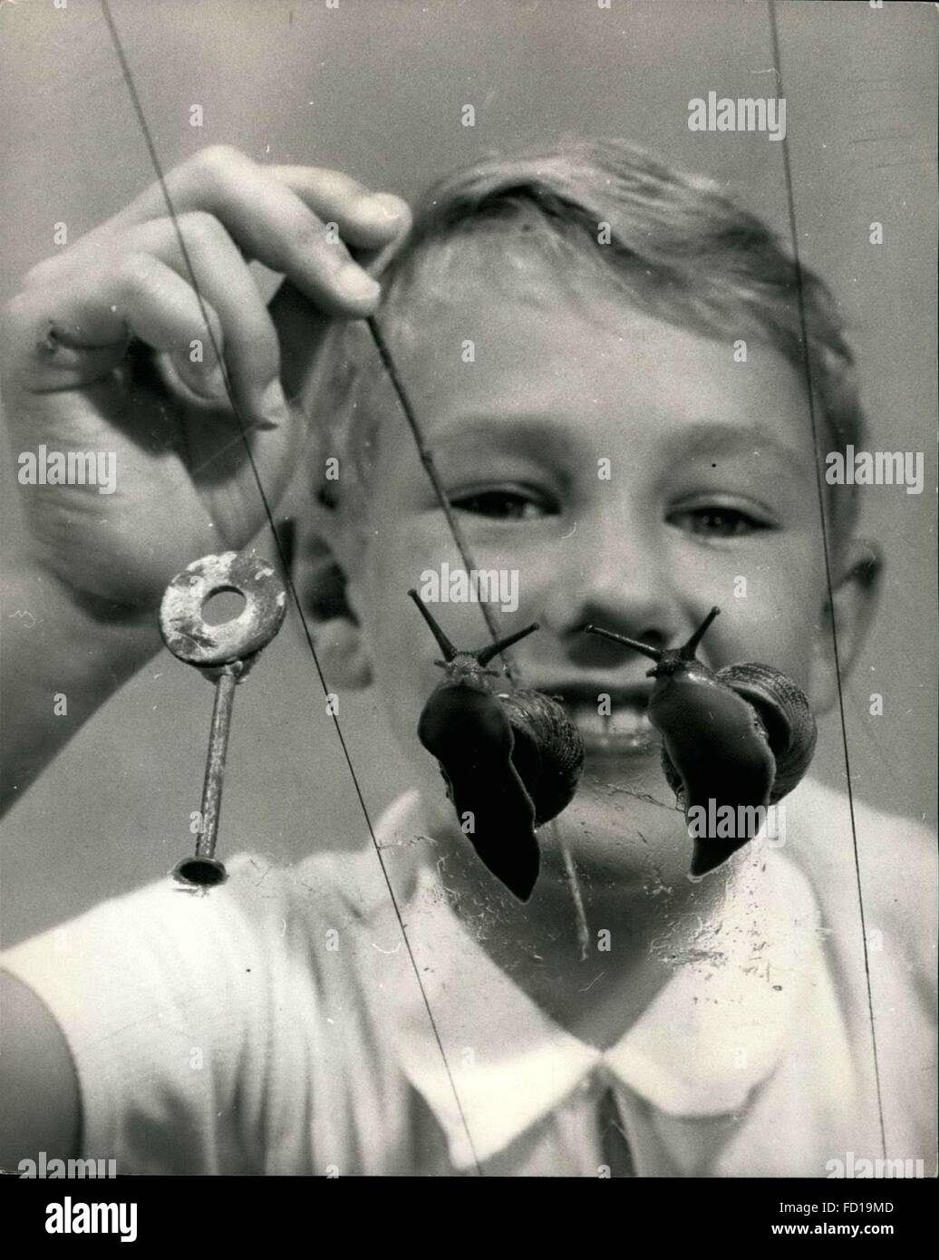 Homeless snail hi-res stock photography and images - Alamy