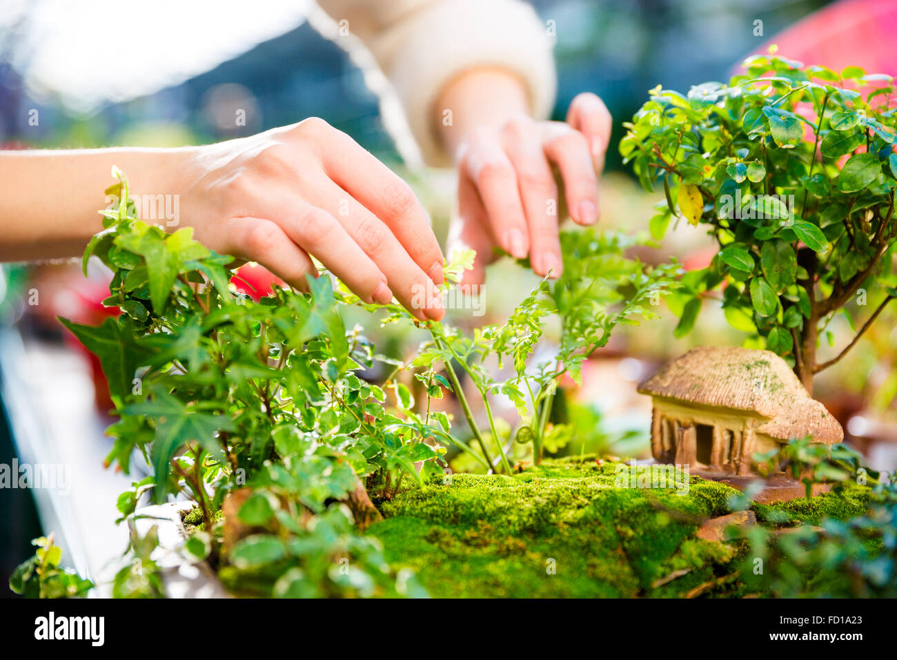 Miniature garden hi-res stock photography and images - Alamy