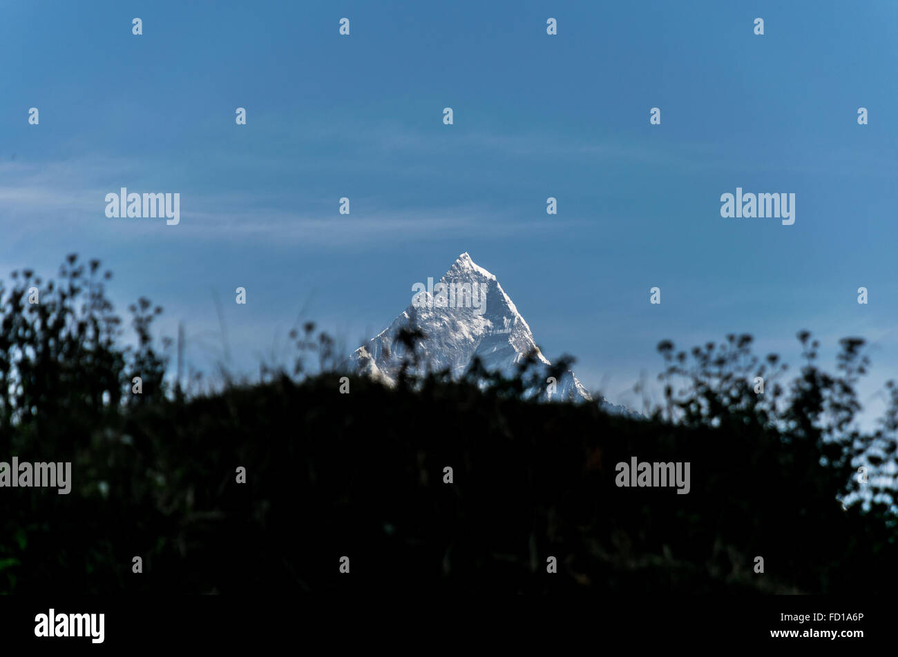 Peak of Mount Machapuchare Stock Photo - Alamy