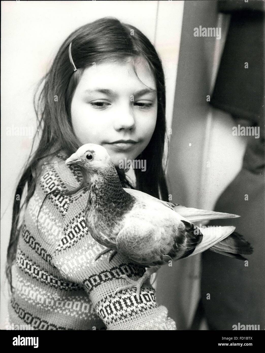 1976 - Nice as Pigeon pie.: A dog can't call her basket her own these ...