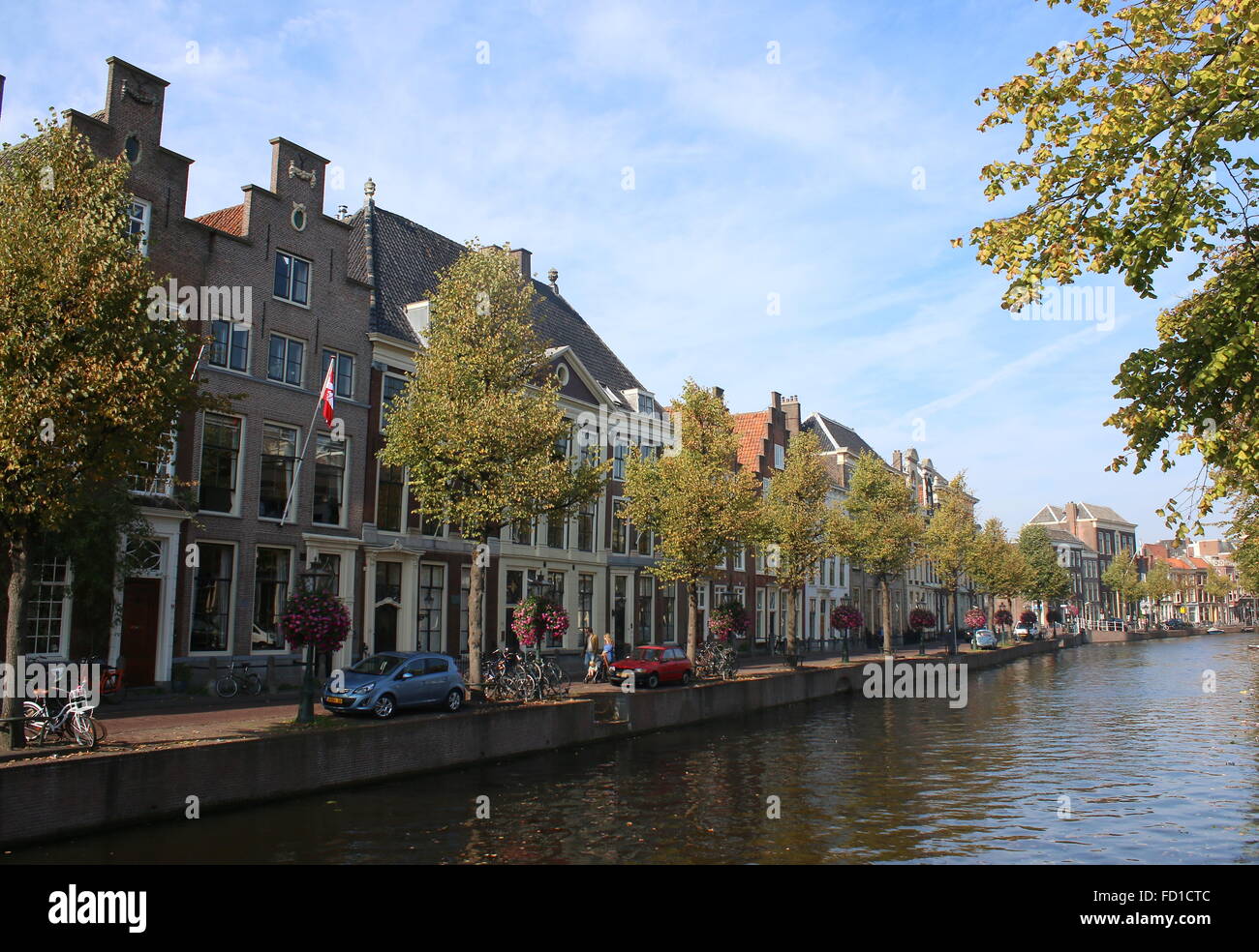 Historic old mansions along tree-lined Rapenburg main canal in Leiden ...