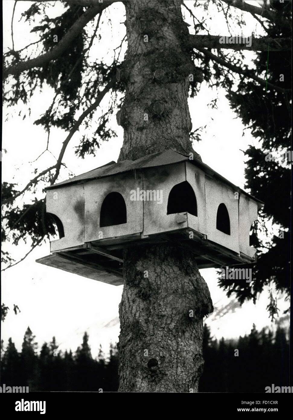 1983 - Room enough for all breeds of birds is given by this rank aviary ...