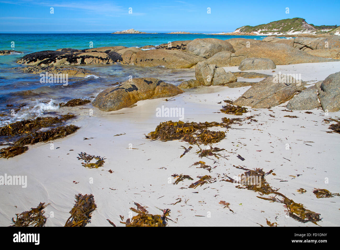 Stumpys Bay in Mt William National Park Stock Photo - Alamy
