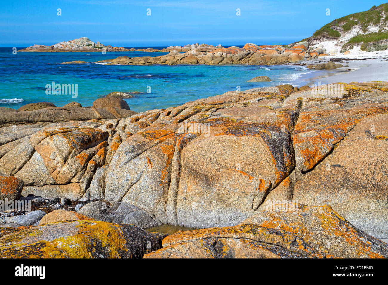 Stumpys Bay in Mt William National Park Stock Photo - Alamy