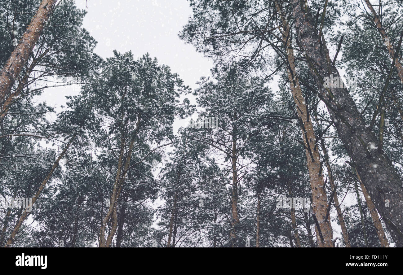 Unusual snow hi-res stock photography and images - Alamy