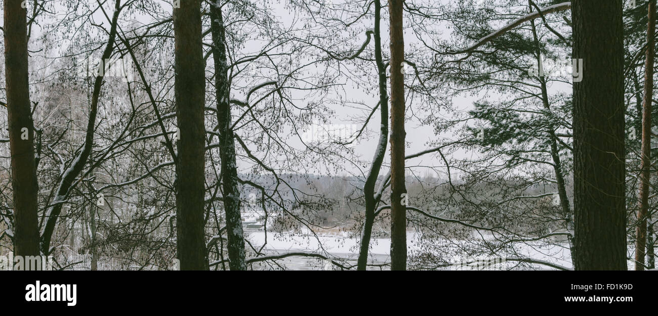 Landscape In Forest Stock Photo - Alamy