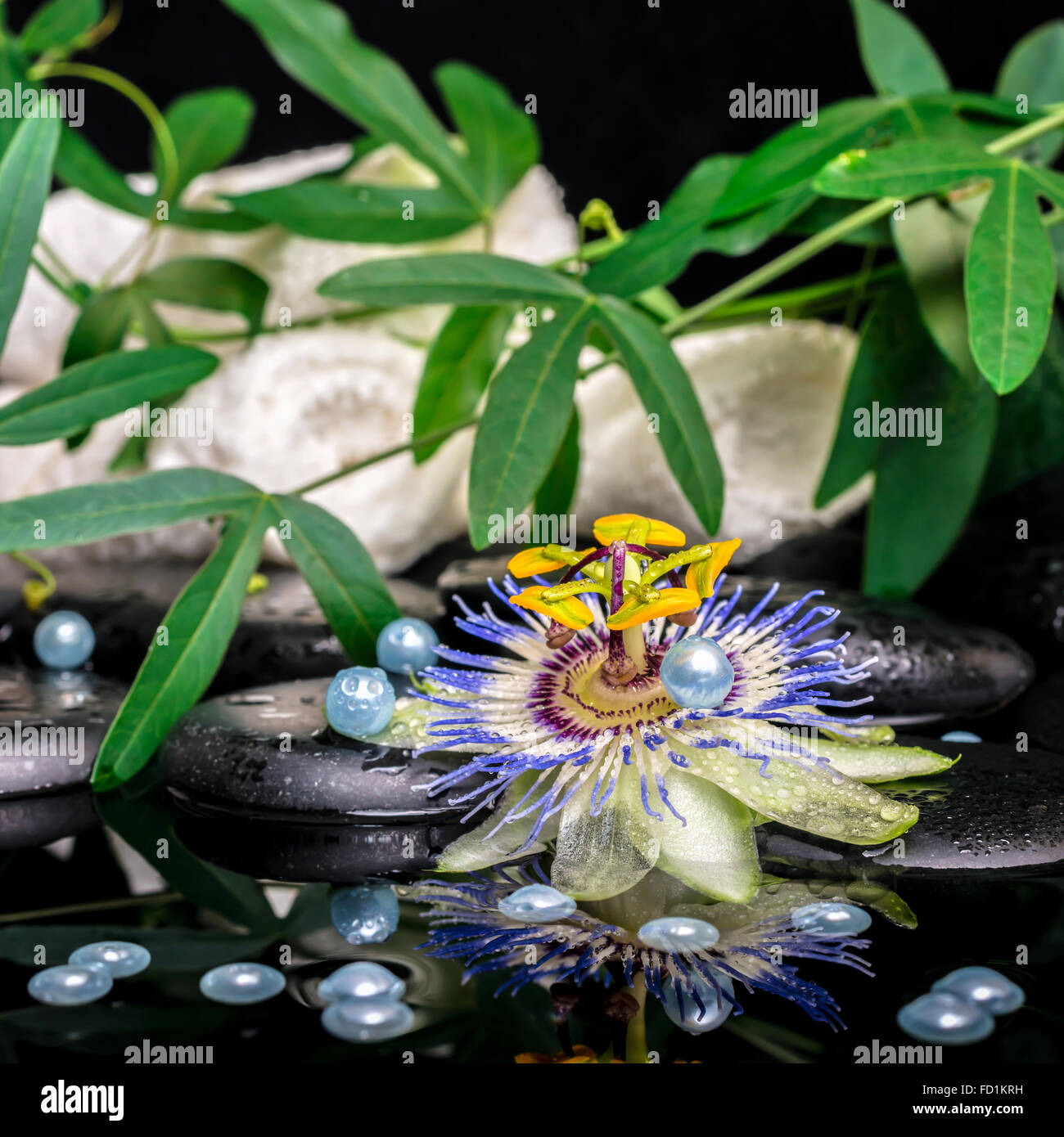 spa setting of passiflora flower, branches, towels, zen basalt stones ...
