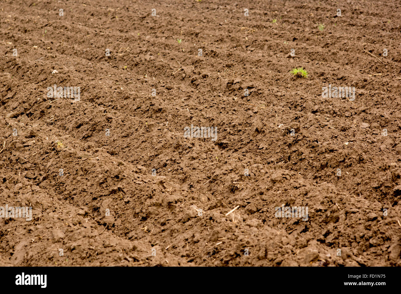 some brown soil waiting for farmers to plant plants Stock Photo - Alamy