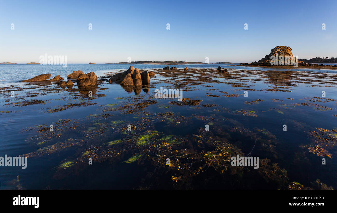 Scilly marine hi-res stock photography and images - Alamy