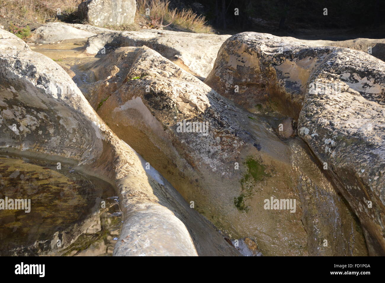 Small zoom hi-res stock photography and images - Alamy