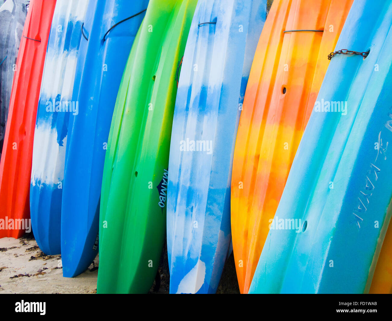 Stacks of kayaks hi-res stock photography and images - Alamy