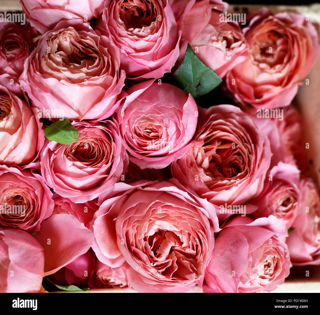 Pink Rose bouquet Stock Photo - Alamy