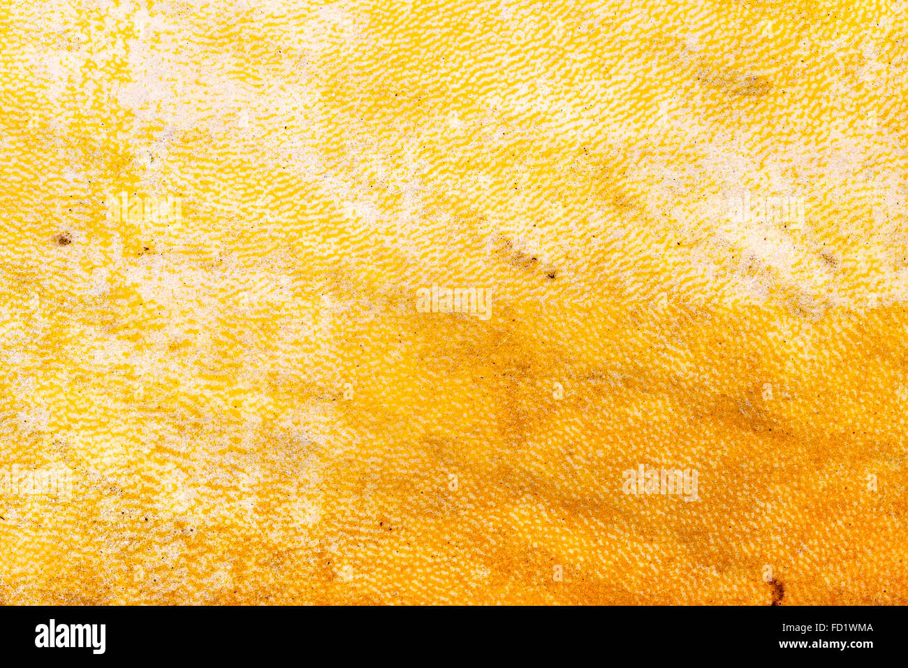 Shades of yellow hi-res stock photography and images - Alamy