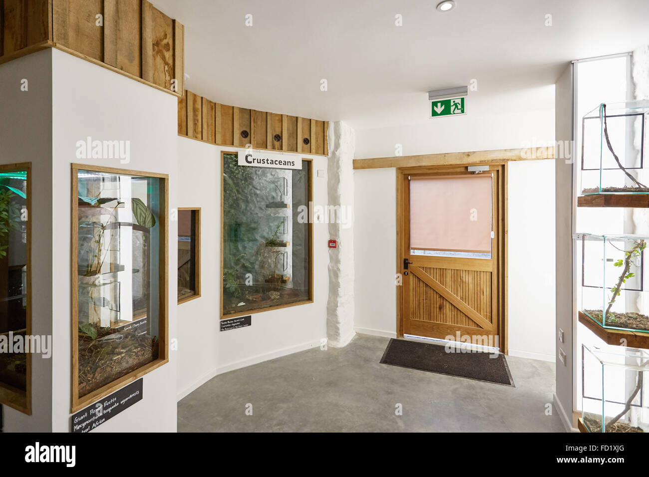 The inside of the tropical bug house on Bug farm near St Davids ...