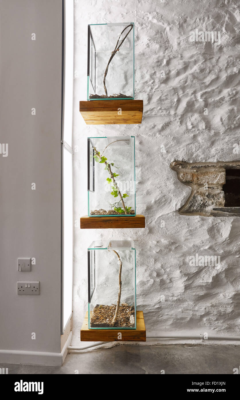 Bug farm pembrokeshire hi-res stock photography and images - Alamy