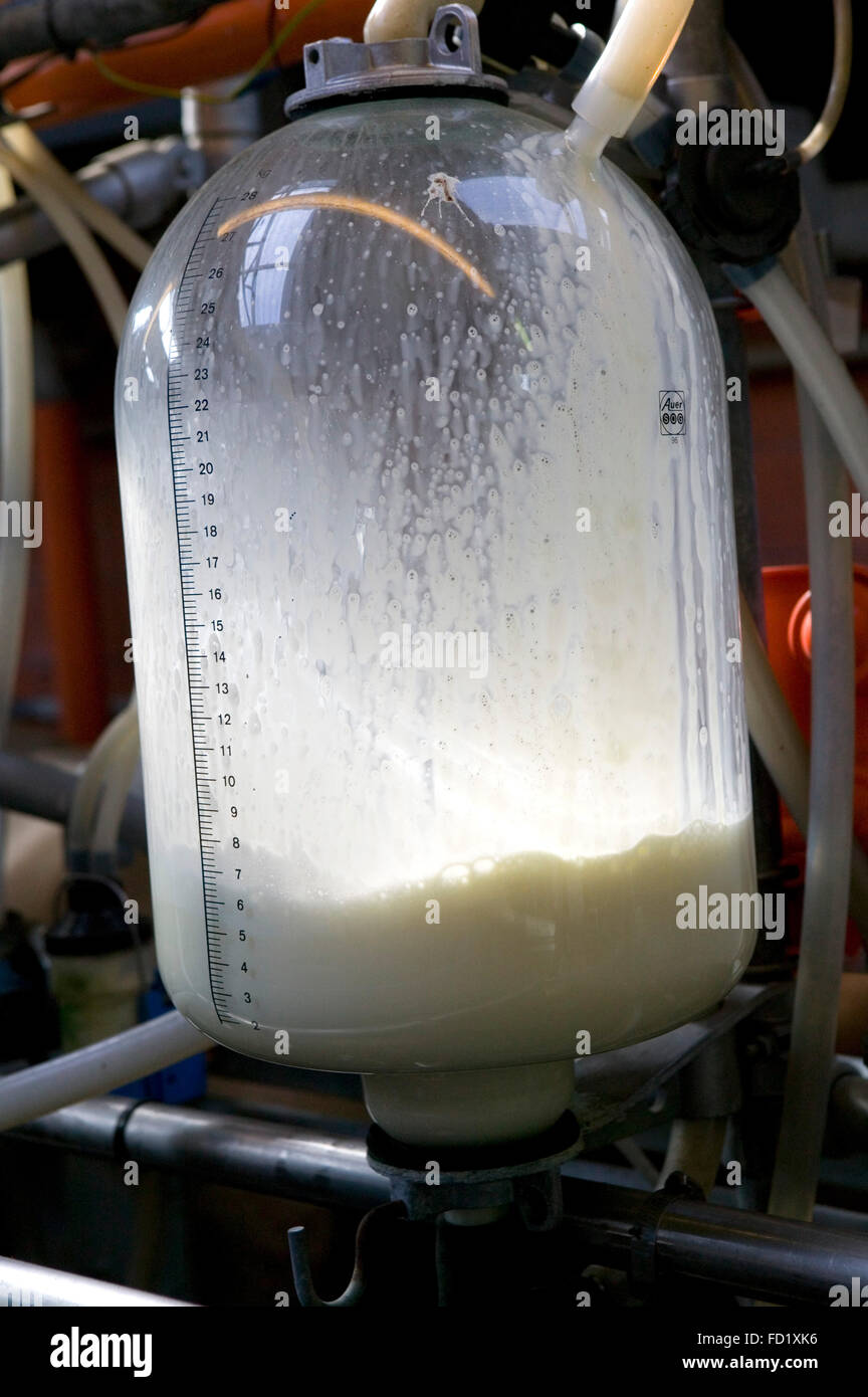 Modern milking hi-res stock photography and images - Alamy