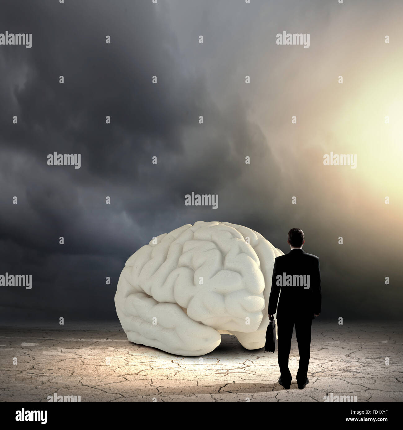 Rear view of businessman looking at big brain model Stock Photo - Alamy