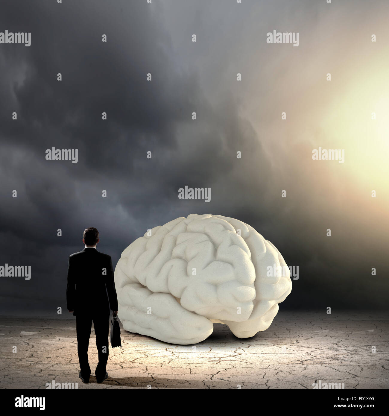 Rear view of businessman looking at big brain model Stock Photo - Alamy