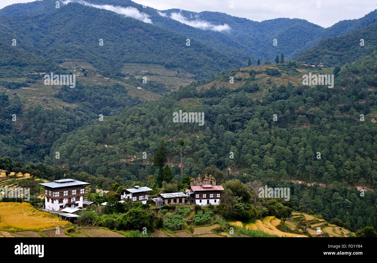 Traditional Bhutan Architecture High Resolution Stock Photography and ...