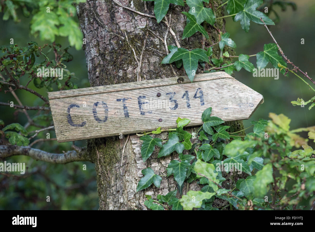 Mortain Hill 314 High Resolution Stock Photography and Images - Alamy