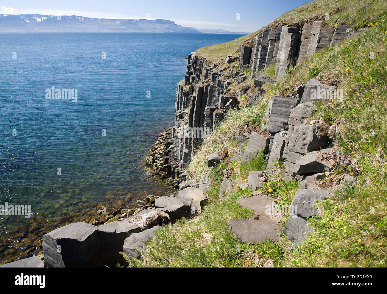 Basalt columns on coast, Hofsos, Iceland Stock Photo - Alamy