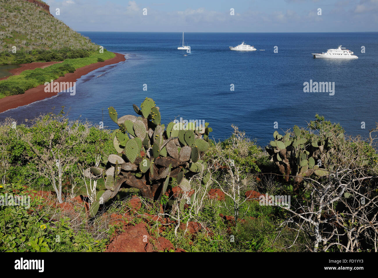 Rábida island, Galapagos, Ecuador Stock Photo - Alamy