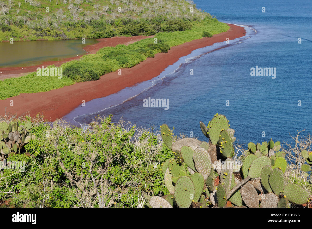 Rábida island, Galapagos, Ecuador Stock Photo - Alamy