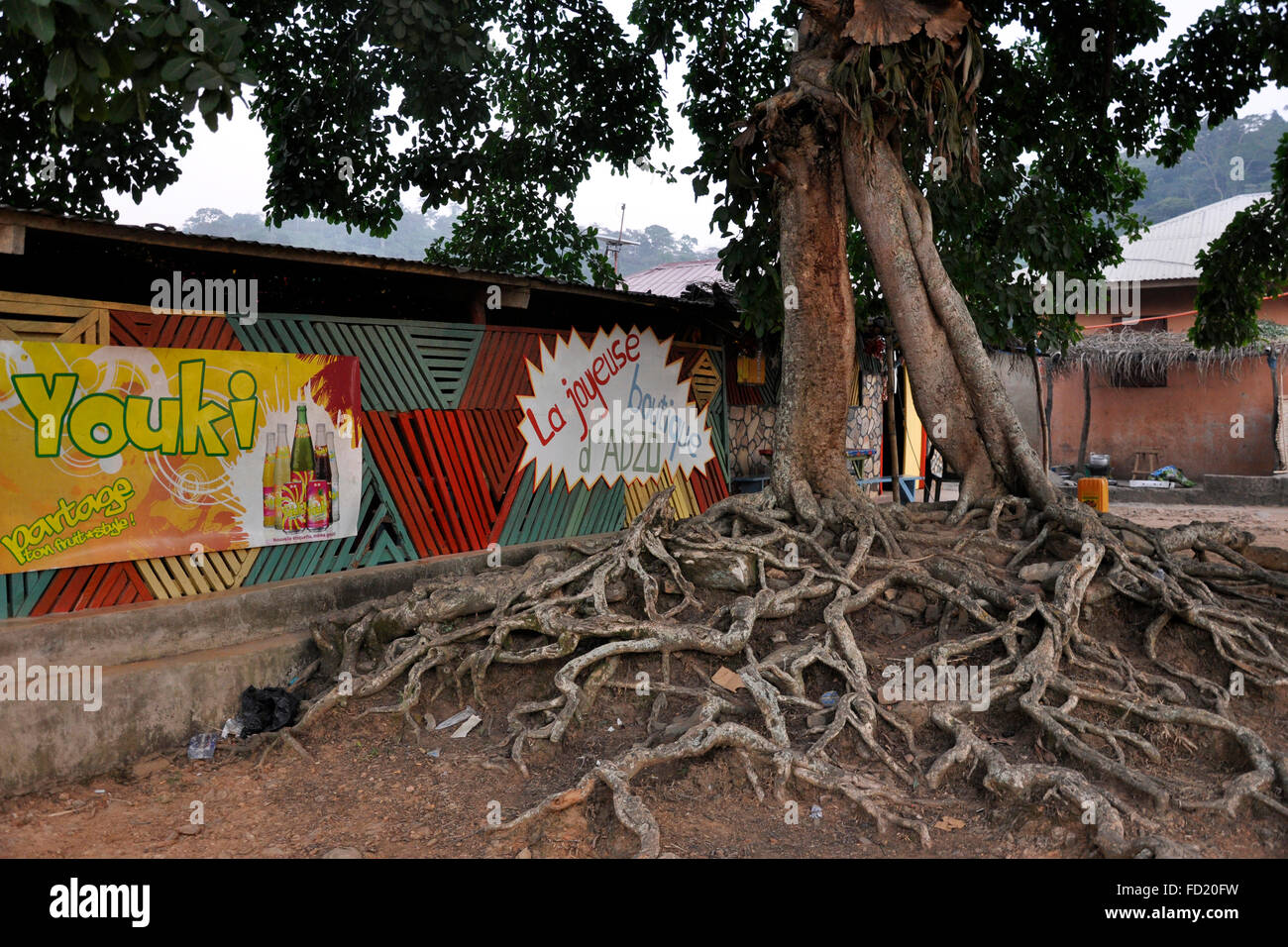 Togo, Notse, tree Stock Photo - Alamy