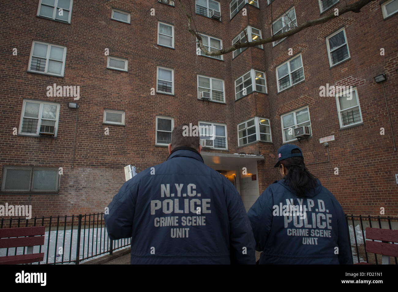 New York, NY, USA. 26th Jan, 2016. NYPD Crime Scene Unit arrives to the ...