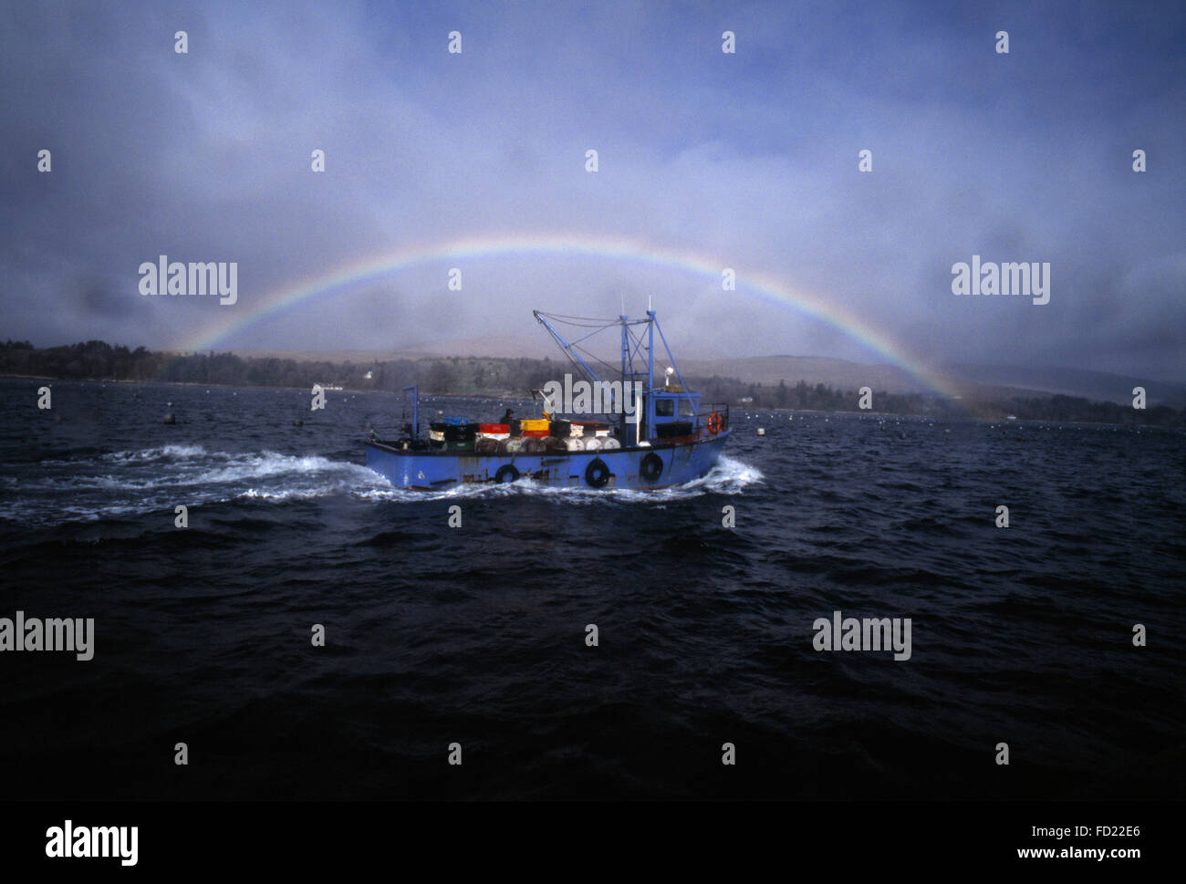 Bantry bay Seafoods, Gortalassa, County Cork Ireland. Rope-grown Mussel ...