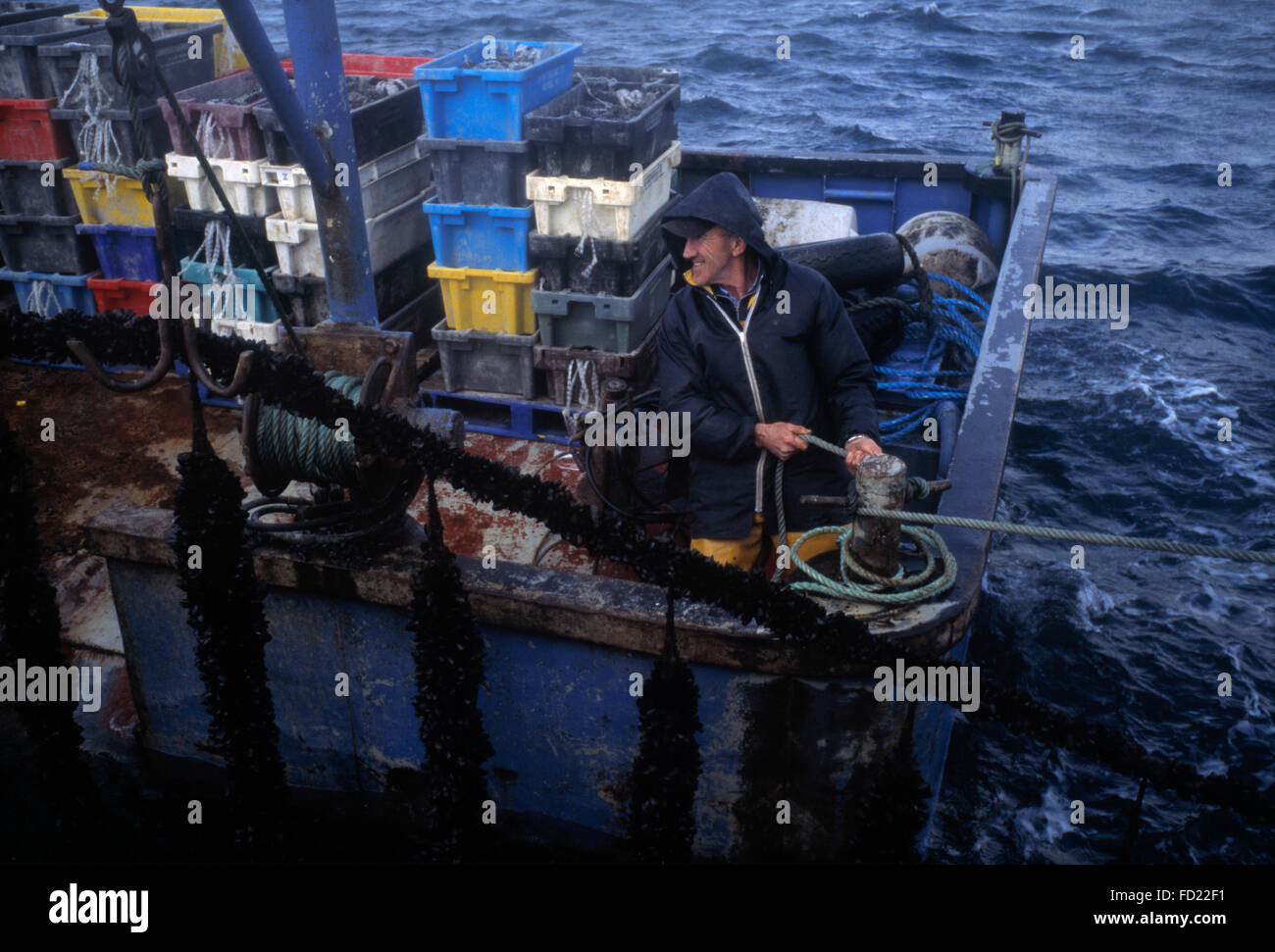 Bantry bay Seafoods, Gortalassa, County Cork Ireland. Rope-grown Mussel ...