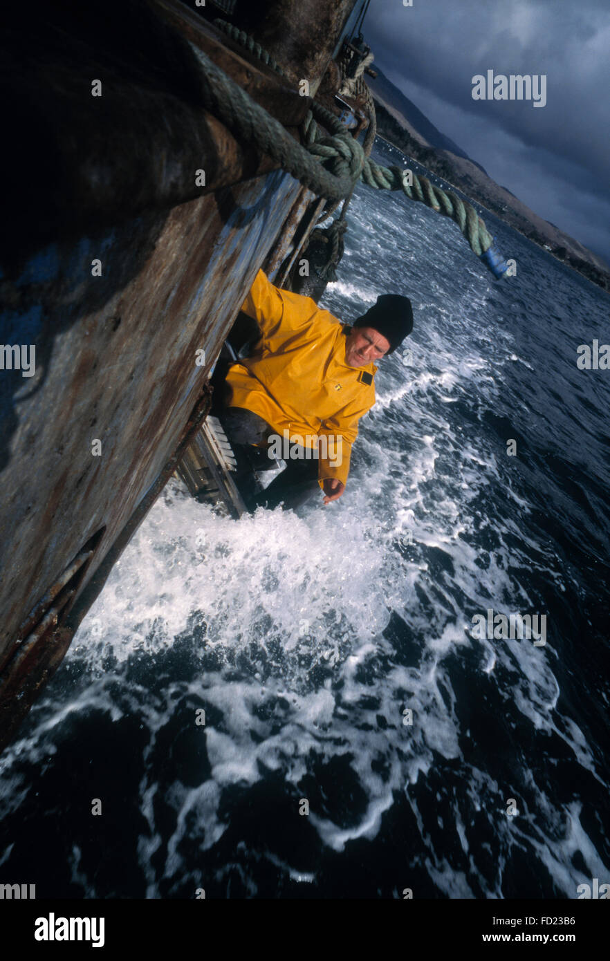Bantry bay Seafoods, Gortalassa, County Cork Ireland. Rope-grown Mussel ...