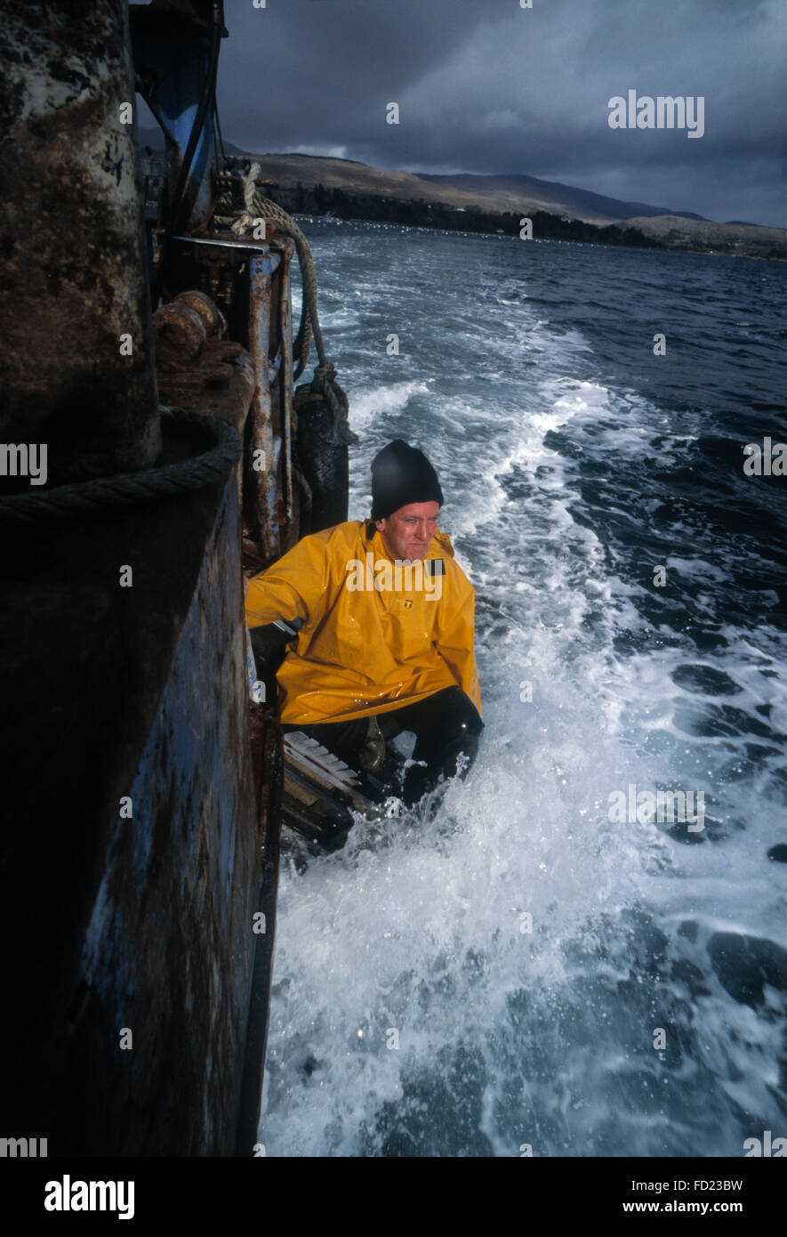 Bantry bay Seafoods, Gortalassa, County Cork Ireland. Rope-grown Mussel ...