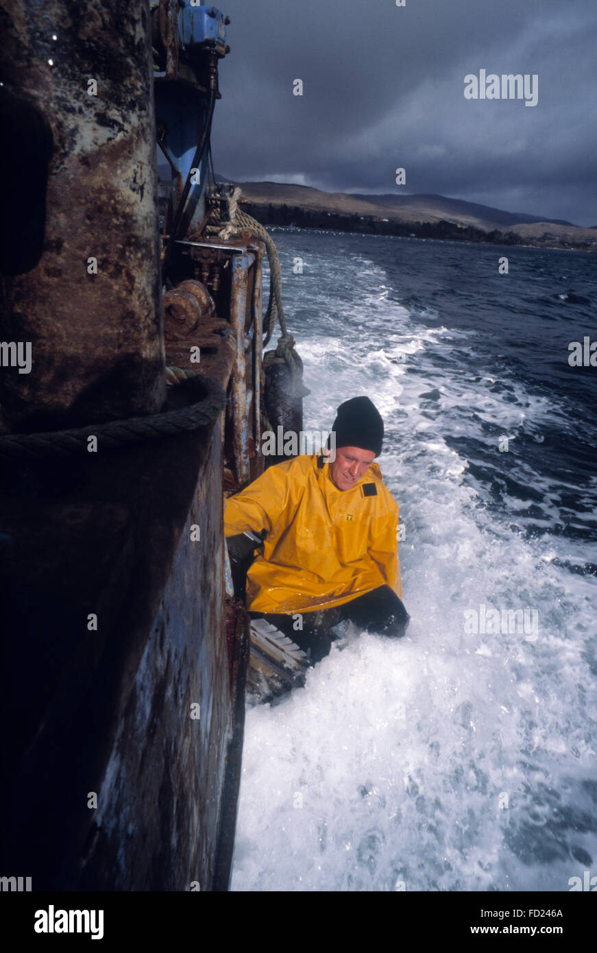 Bantry bay Seafoods, Gortalassa, County Cork Ireland. Rope-grown Mussel ...