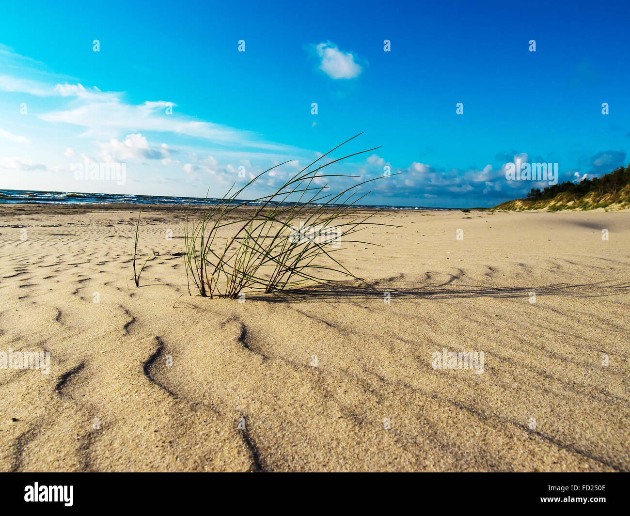 Green grass by the sea hi-res stock photography and images - Alamy