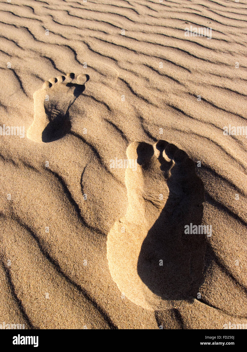 Human beach hi-res stock photography and images - Alamy